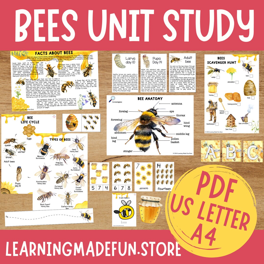 Bees Unit Study, Honey Bee Themed Printable, Insects Activity, Bugs ...