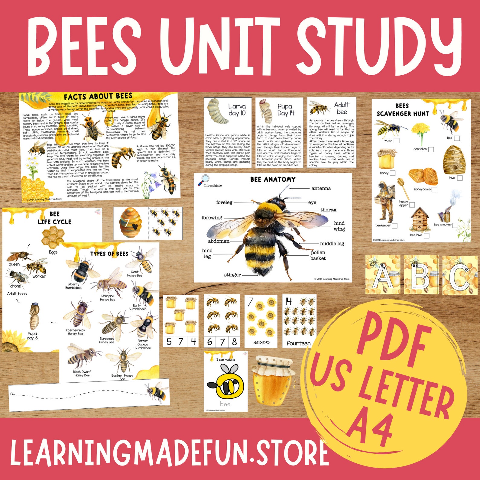 Bees Unit Study, Honey Bee Printable, Homeschool Learning (PDF) - Etsy