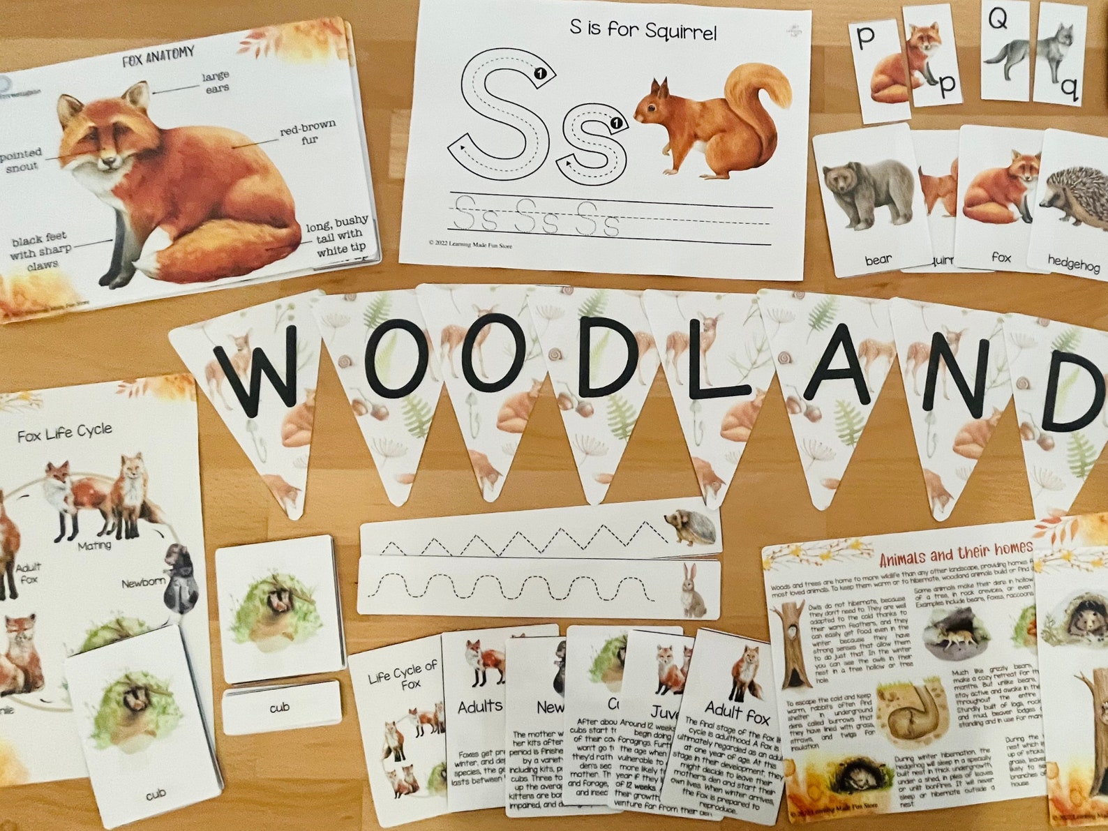 Woodland Unit Study Forest Animals Printable Nature Studies - Etsy