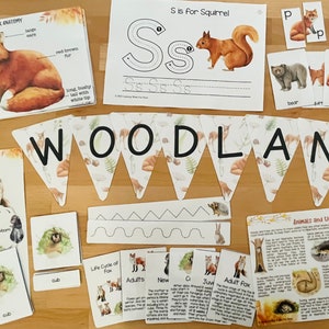 Woodland Unit Study, Forest Animals Printable, Nature Studies ...