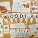 Woodland Unit Study, Forest Animals Printable, Nature Studies ...