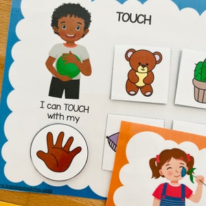 Five Senses Sorting Activity: Preschool Learning Resource (digital ...