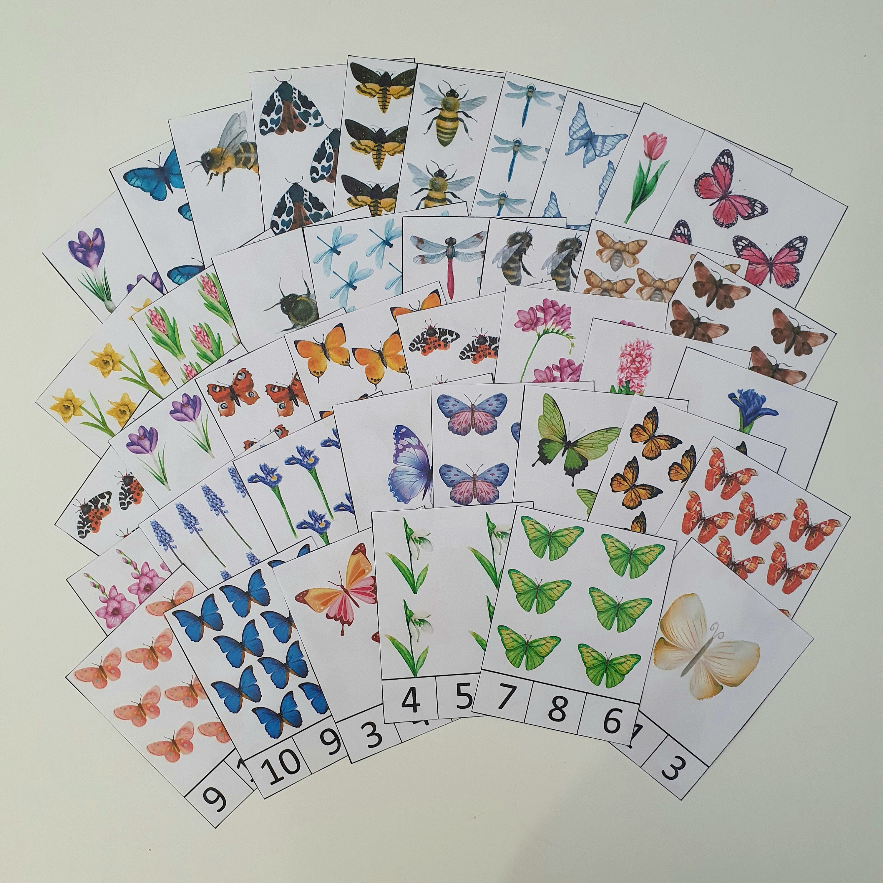 Montessori Spring Count Clip Cards Numbers 1-10 Count and | Etsy