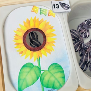 Sunflower Seeds Counting to 20, Printable Flisat Insert, Trofast Insert ...