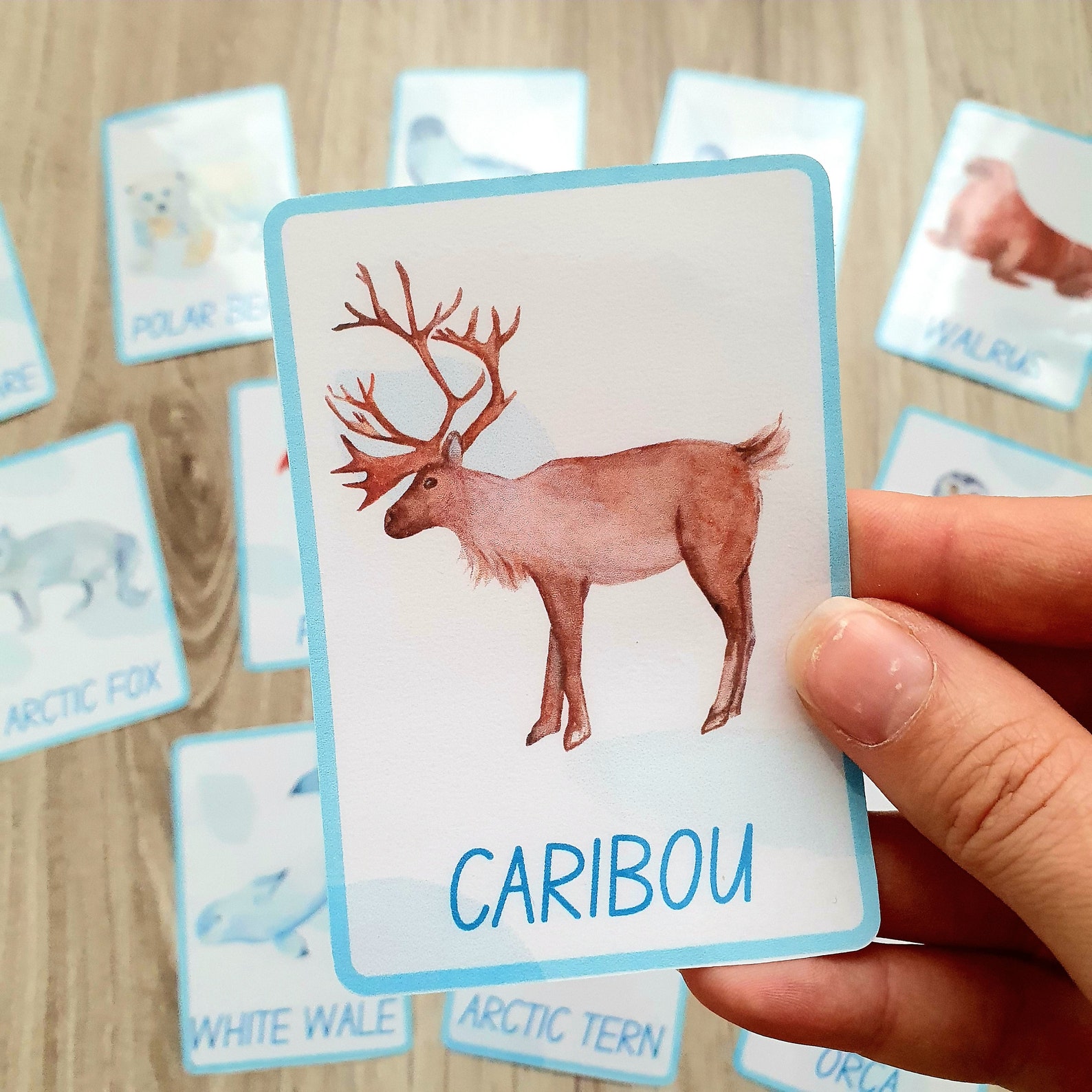 Arctic Animals Flashcards Montessori Cards Polar Animals - Etsy