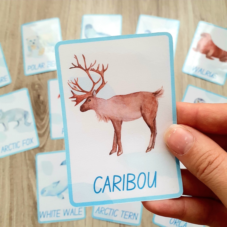 Arctic Animals Flashcards: Montessori Learning Cards (digital Download ...