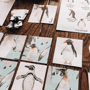 Penguins Unit Study, Penguin Themed Printable, Polar Animals Activity ...