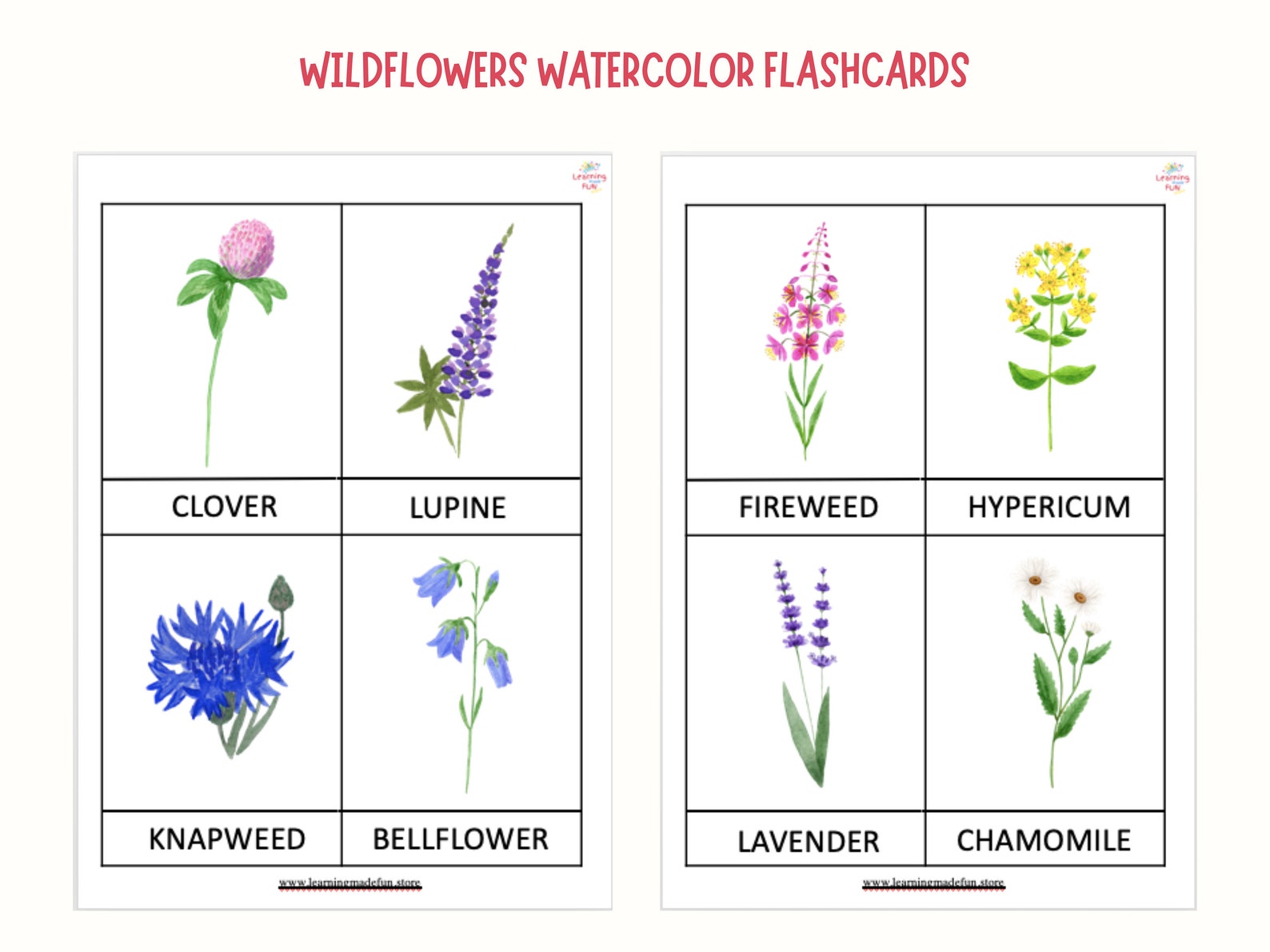 Wildflowers Montessori Cards Summer Flowers Flash Cards - Etsy