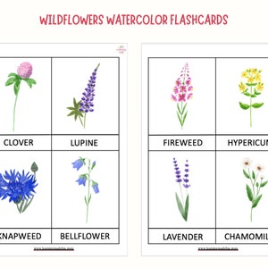 Wildflowers Montessori Cards, Summer Flowers Flash Cards, Three Part ...