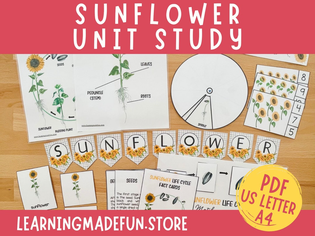 Sunflower Unit Study, Learning Bundle, Sunflower Life Cycle Activity ...