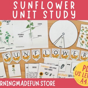 Sunflower Unit Study, Learning Bundle, Sunflower Life Cycle Activity ...