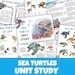Sea Turtle Unit Study | Life Cycle, Anatomy, Math & Literacy (digital ...