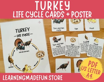 Life Cycle of a Turkey | Poster, Matching Actvitity, Montessori 3 Part ...