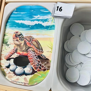 Sea Turtle Eggs Counting to 20, Printable Flisat Insert, Trofast Insert ...