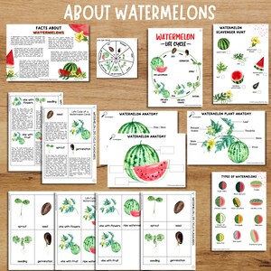 Watermelon Unit Study: Printable Summer Learning Activities (PDF) - Etsy