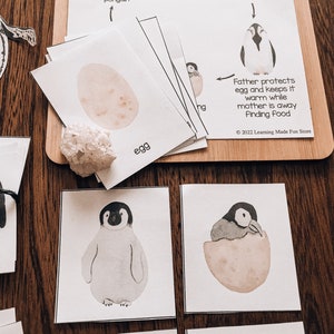 Penguins Unit Study, Penguin Themed Printable, Polar Animals Activity ...