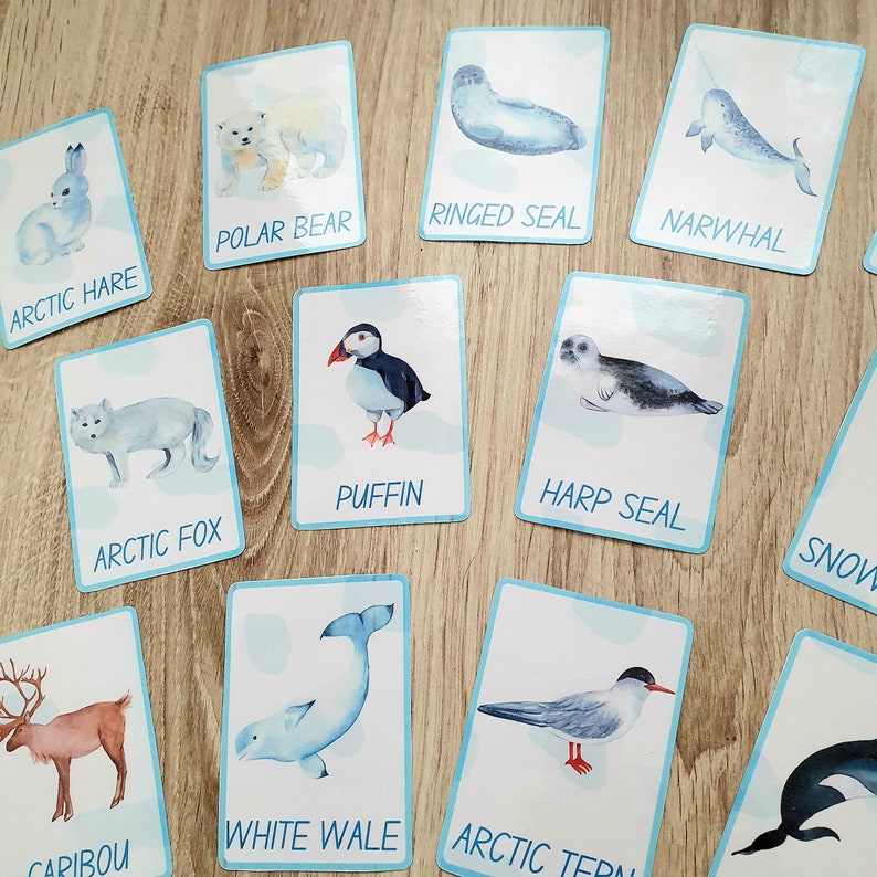 Arctic Animals Flashcards Montessori Cards Polar Animals - Etsy