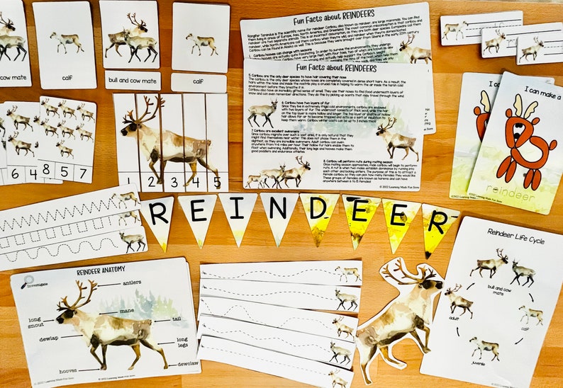 Reindeer Unit Study: Anatomy, Life Cycle, & Counting (printable) - Etsy