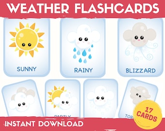 4 Seasons Flashcards, INSTANT DOWNLOAD, Toddler Weather Activity, Pre-k ...