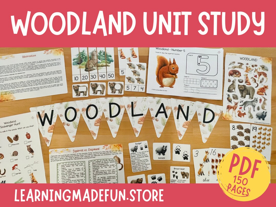 Woodland Unit Study Forest Animals Printable Nature Studies - Etsy