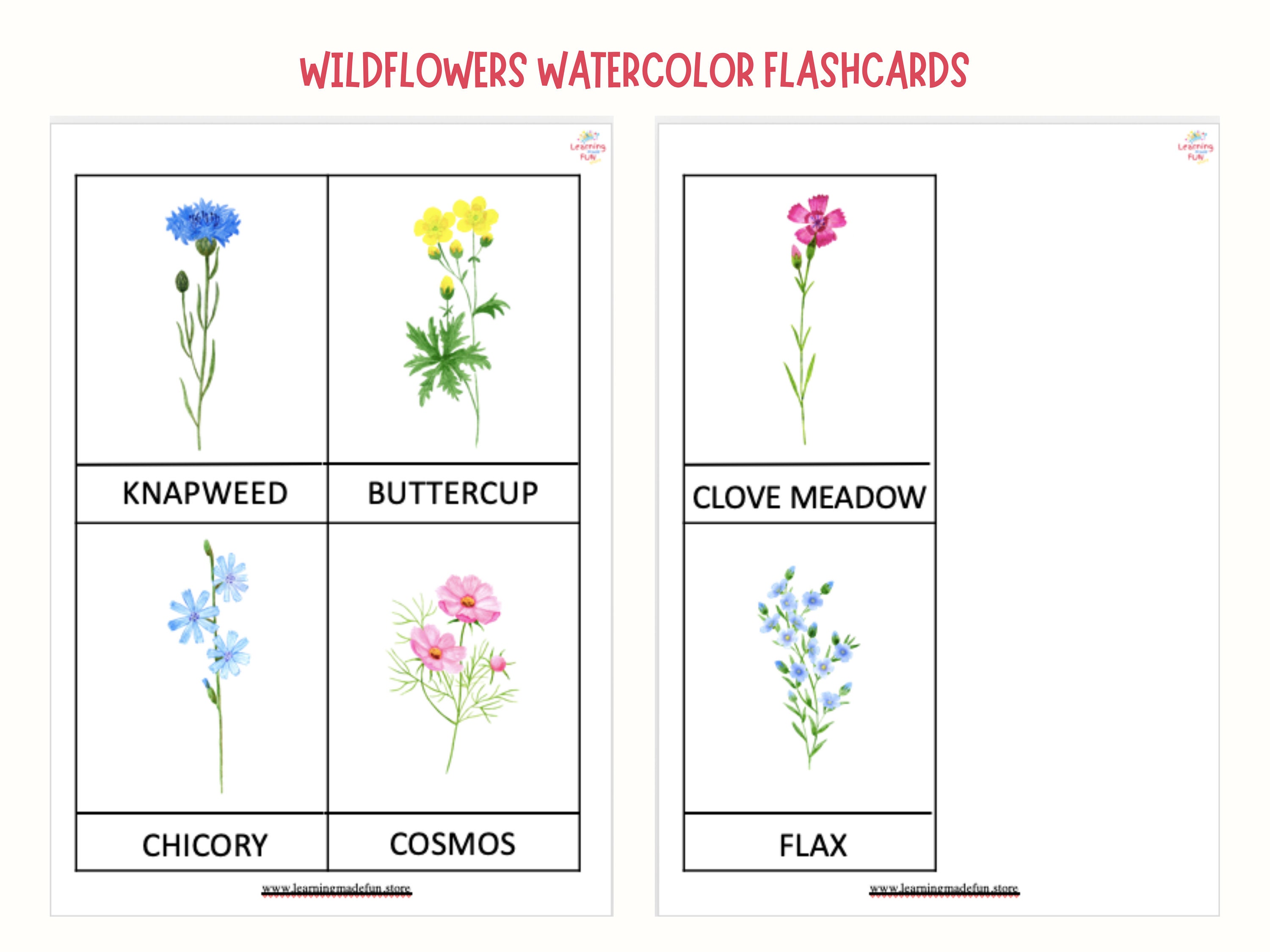 Wildflowers Montessori Cards Summer Flowers Flash Cards - Etsy