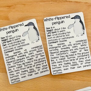 Penguins Identification Cards, Penguins Three Part Cards, Montessori ...