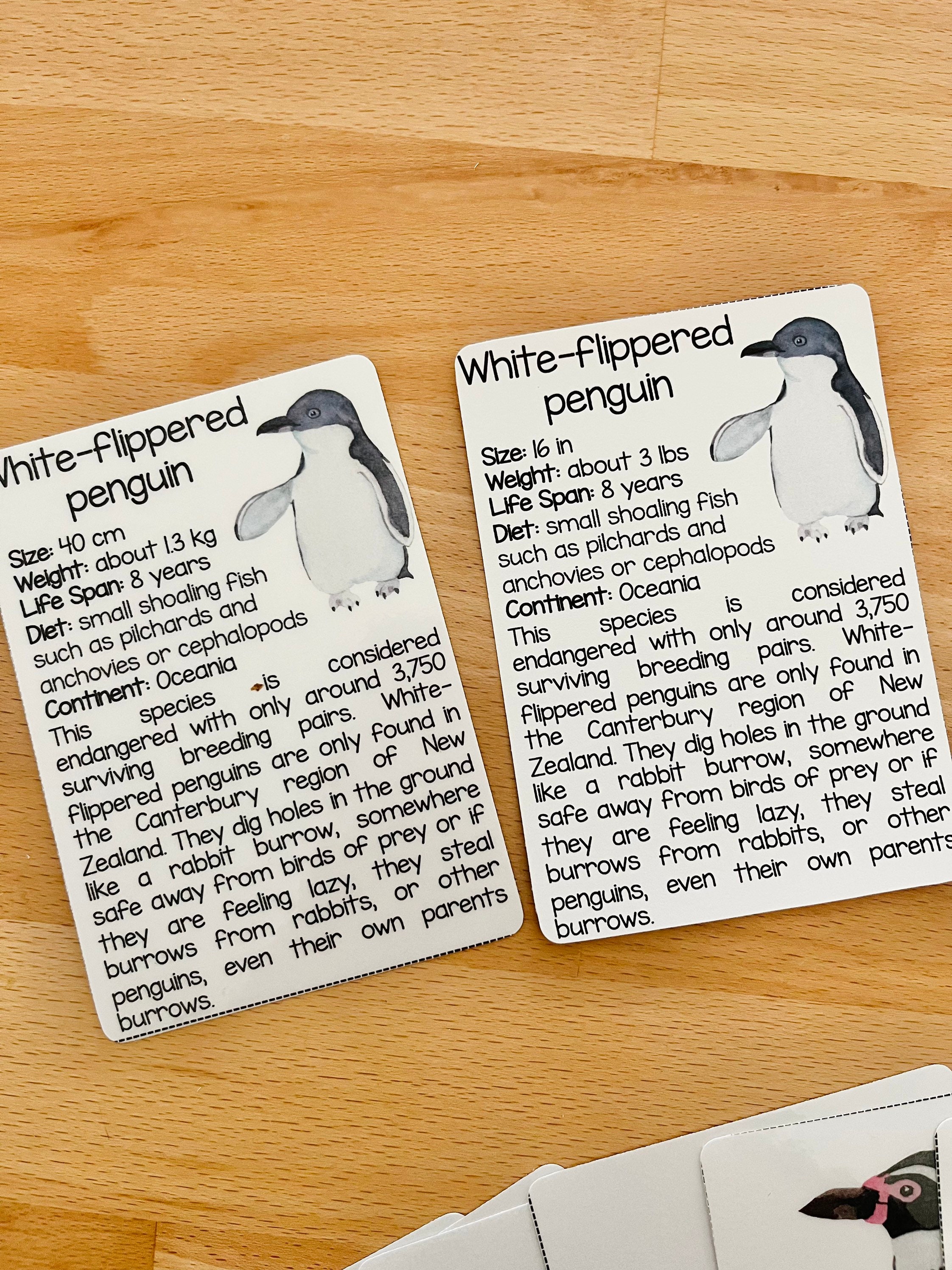 Penguins Nomenclature Cards: Montessori Three Part Cards (digital ...