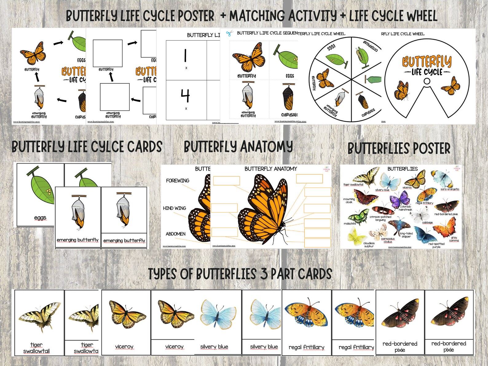 Butterfly Unit Study Learning Bundle Butterfly Life Cycle - Etsy
