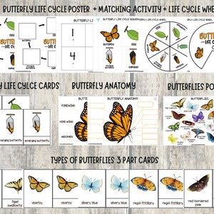 Butterfly Unit Study, Learning Bundle, Butterfly Life Cycle Activity ...