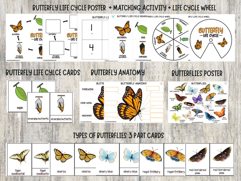 Butterfly Unit Study Learning Bundle Butterfly Life Cycle - Etsy