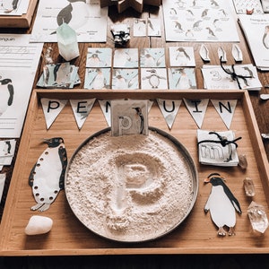 Penguins Unit Study, Penguin Themed Printable, Polar Animals Activity ...