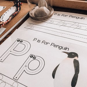 Penguins Unit Study, Penguin Themed Printable, Polar Animals Activity ...