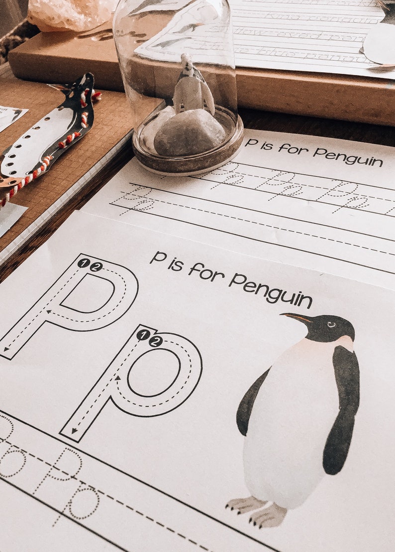 Penguins Unit Study Penguin Themed Printable Polar Animals - Etsy