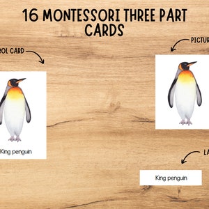 Penguins Identification Cards, Penguins Three Part Cards, Montessori ...
