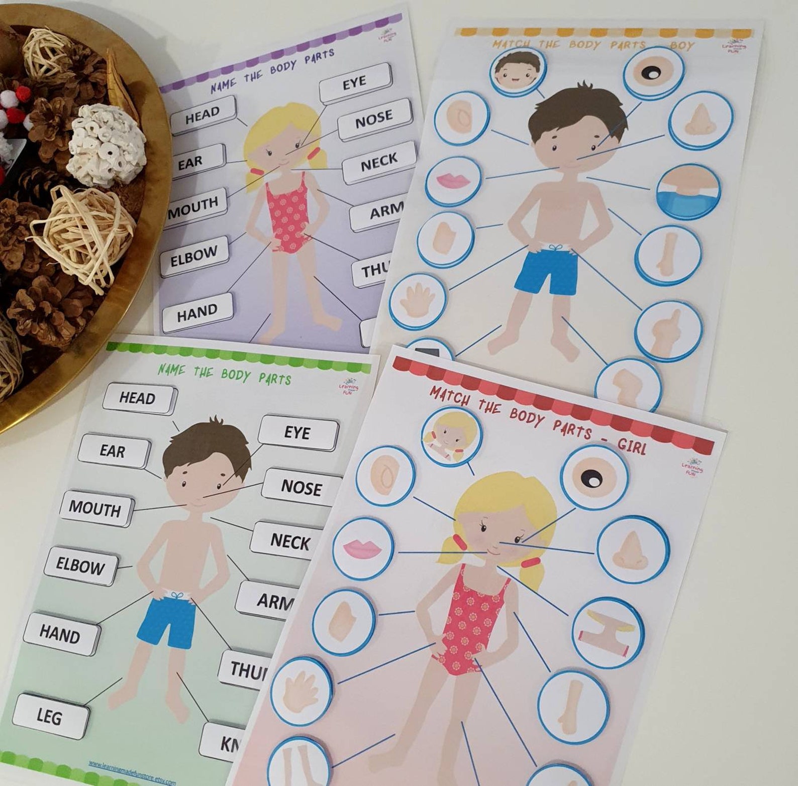 Human Body Parts Matching Game: Preschool Learning Binder (digital ...
