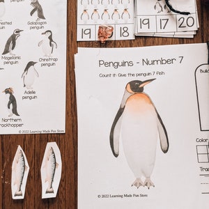 Penguins Unit Study, Penguin Themed Printable, Polar Animals Activity ...