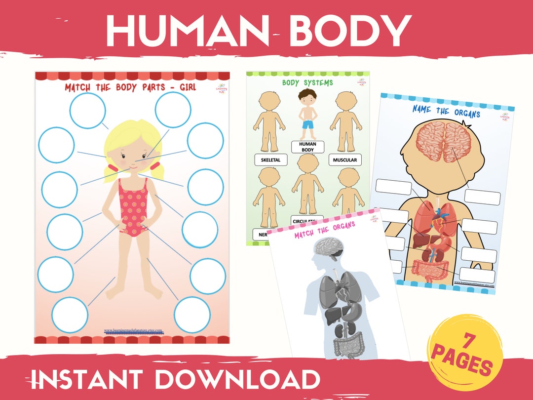 Human Body Parts Matching Game: Preschool Learning Binder (digital ...