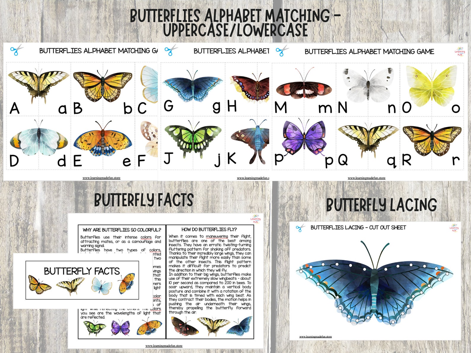 Butterfly Unit Study Learning Bundle Butterfly Life Cycle - Etsy