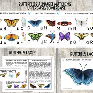 Butterfly Unit Study, Learning Bundle, Butterfly Life Cycle Activity ...
