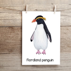 Penguins Identification Cards, Penguins Three Part Cards, Montessori ...