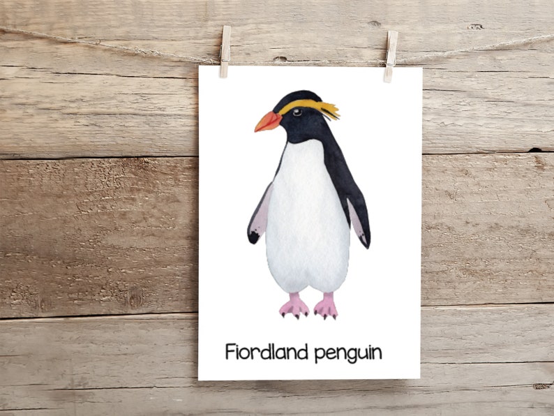 Penguins Nomenclature Cards: Montessori Three Part Cards (digital ...
