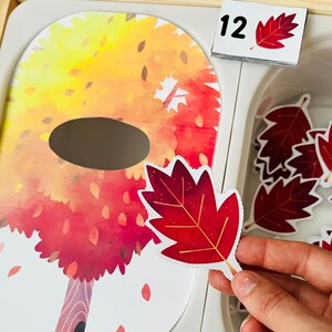 Fall Leaves Counting to 20, Printable Flisat Insert, Trofast Insert ...
