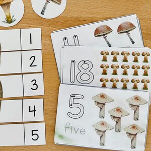 Mushrooms Unit Study: Preschool Curriculum, Montessori Activities (PDF ...