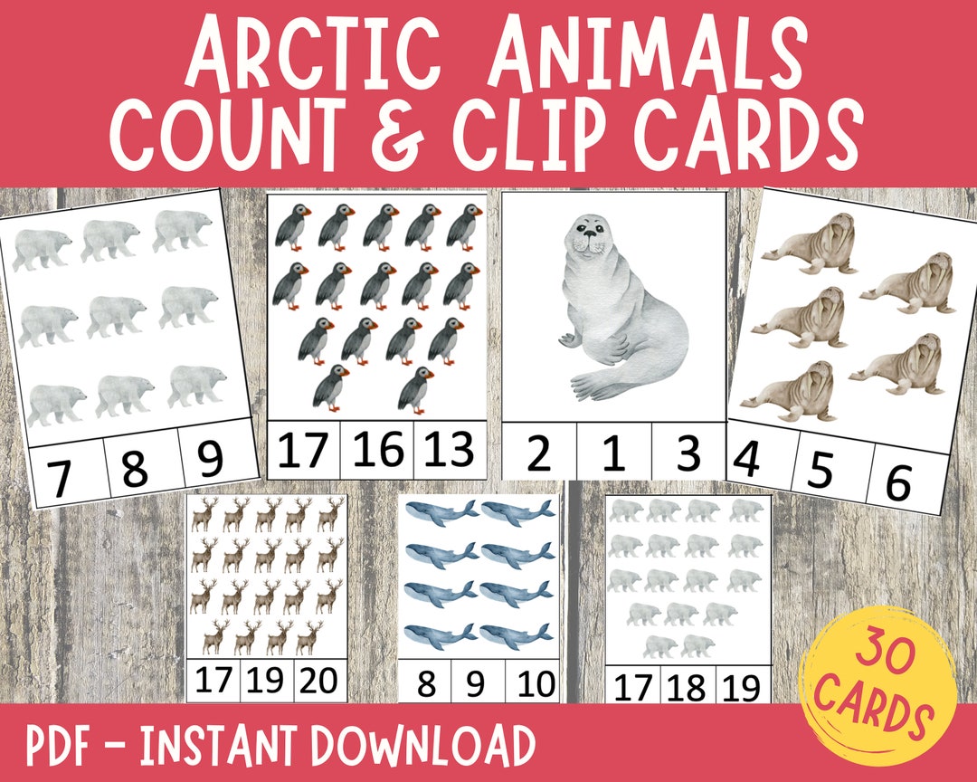 Arctic Animals Count and Clip Cards: Montessori Math (digital Download ...