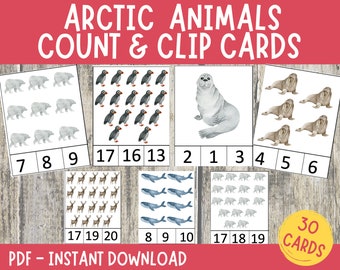 Montessori Arctic Animals Graphing Activity. Preschool Math Printable ...