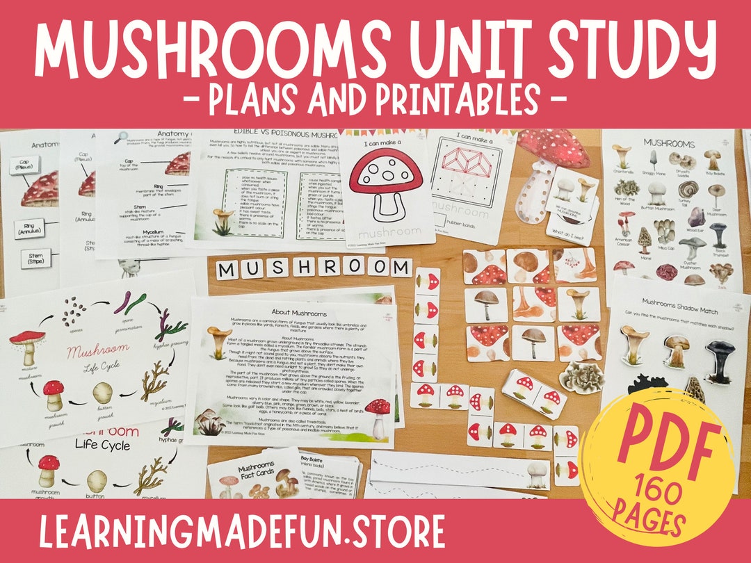 Mushrooms Unit Study: Preschool Curriculum, Montessori Activities (PDF ...