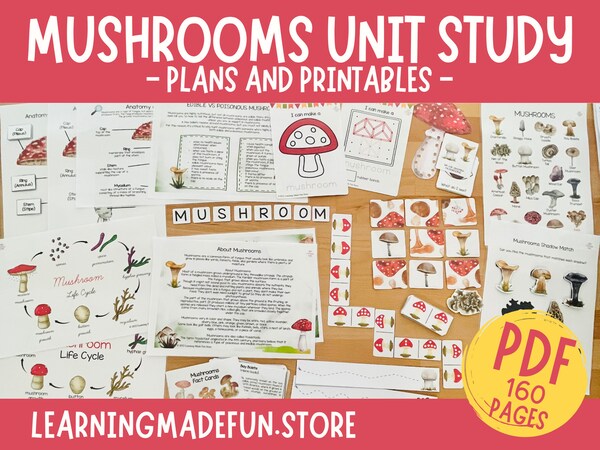 Safari Animals Print Copywork, Safari Animal Facts, Print Handwriting ...