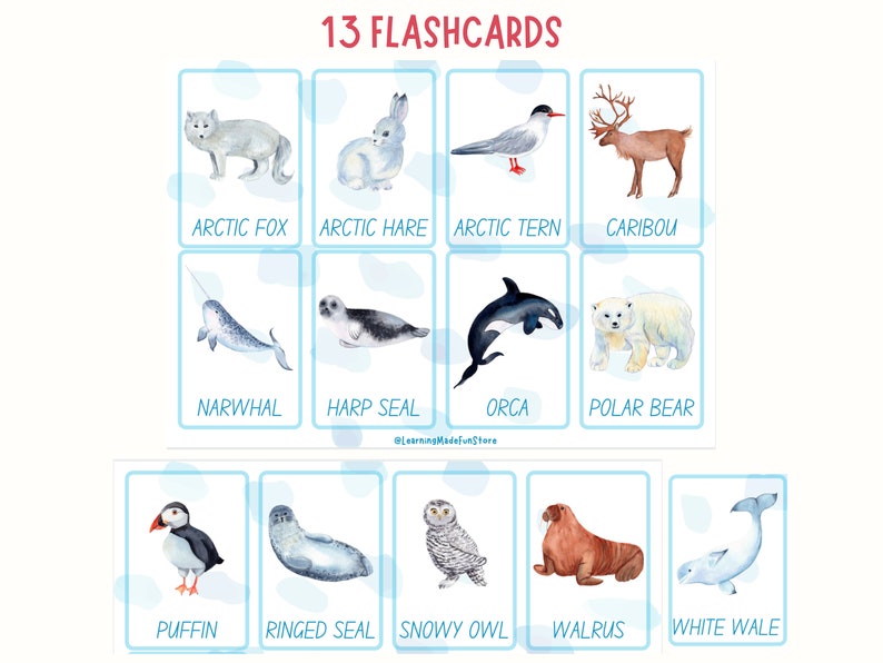 Arctic Animals Flashcards Montessori Cards Polar Animals - Etsy