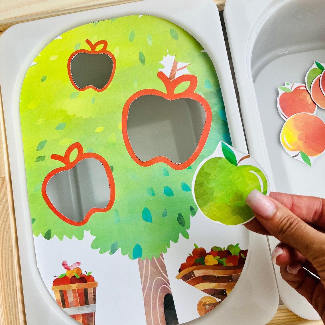 Apple Size Sorting Flisat Insert, Preschool Printable (digital Download ...
