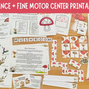 Mushrooms Unit Study: Preschool Curriculum, Montessori Activities (PDF ...